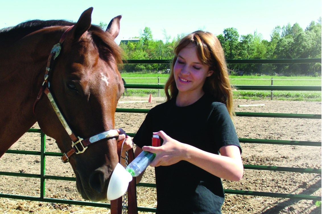 AeroHippus (aerosol chamber for horses) | novovet